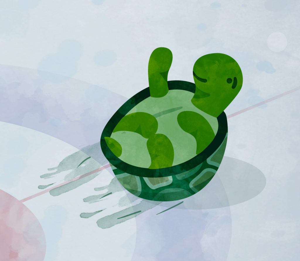 Turtle Curling – Niki Forecast